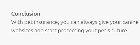 Cat Insurance Comparison 🐾 Sep 2025