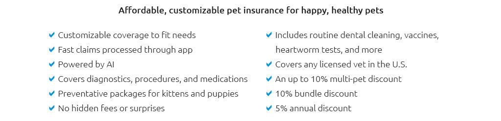 Cat Insurance Comparison 🐾 Sep 2025