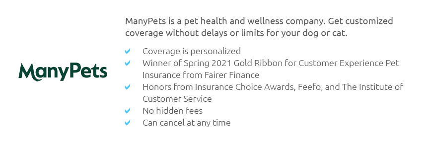 Cat Insurance Comparison 🐾 Sep 2025